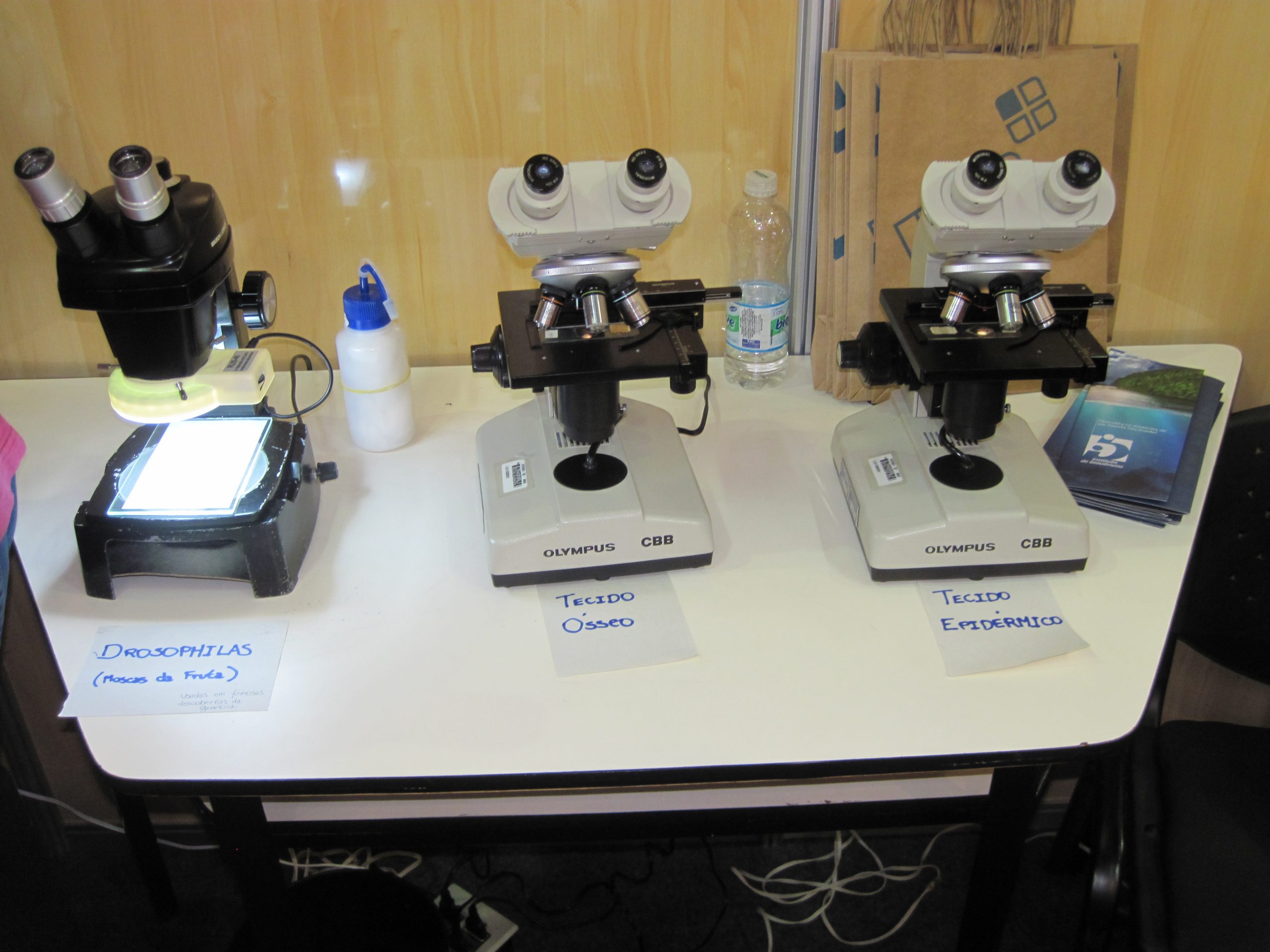 Microscópios – Memória CCEX IB | USP